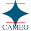 Cameo Corporate Services Ltd | Chennai